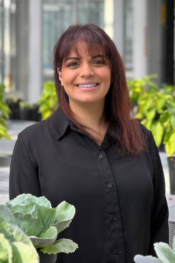 About Enko: our mission, team members, leadership, and boards