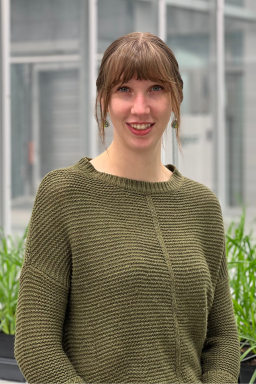 About Enko: our mission, team members, leadership, and boards