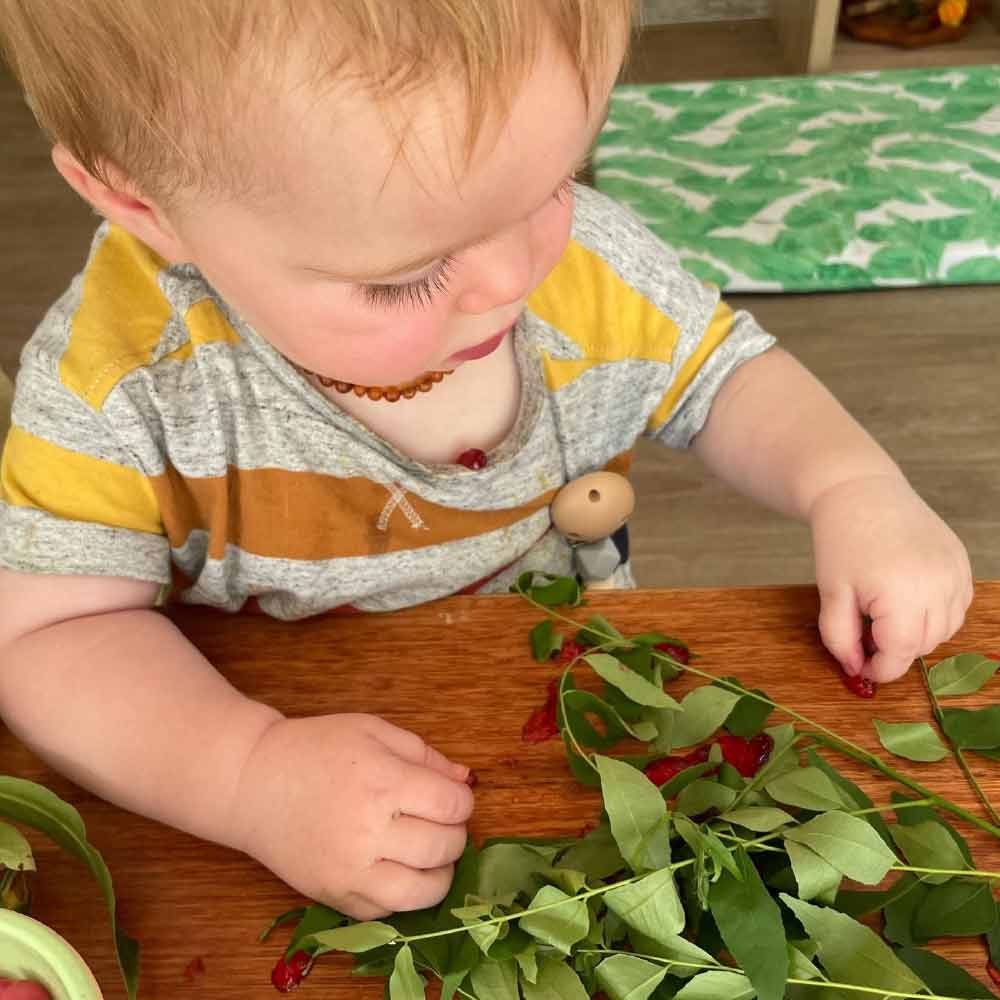 Tall Tree Early Learning | Nursery