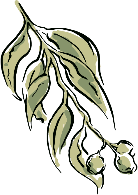 Tall Tree Early Learning | Contact Us