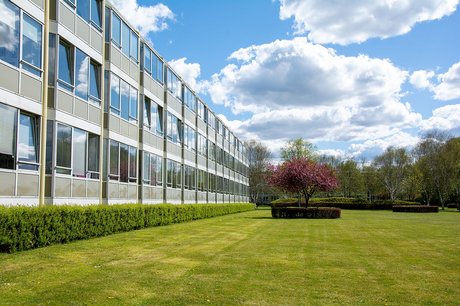 Jacobsen Group Udlejer af lejligheder og erhvervsejendomme i Herning