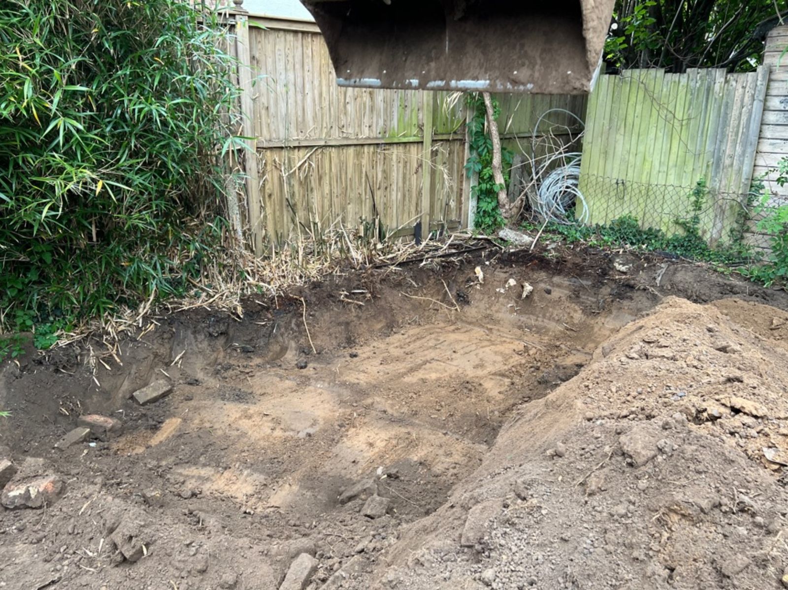 Specialist Bamboo Removal Services | Expert Bamboo Eradication