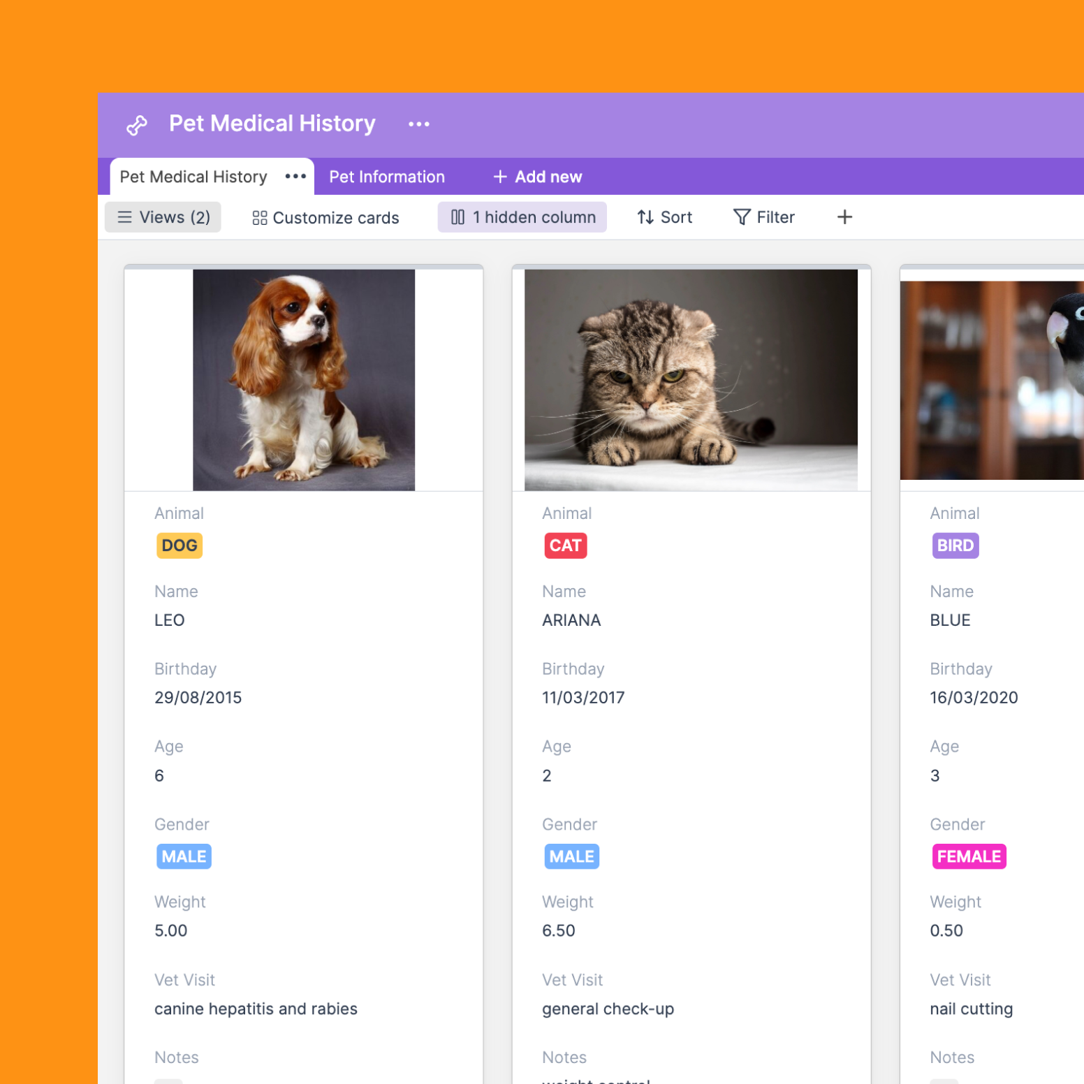 Pet Medical History Spreadsheet Template | Free