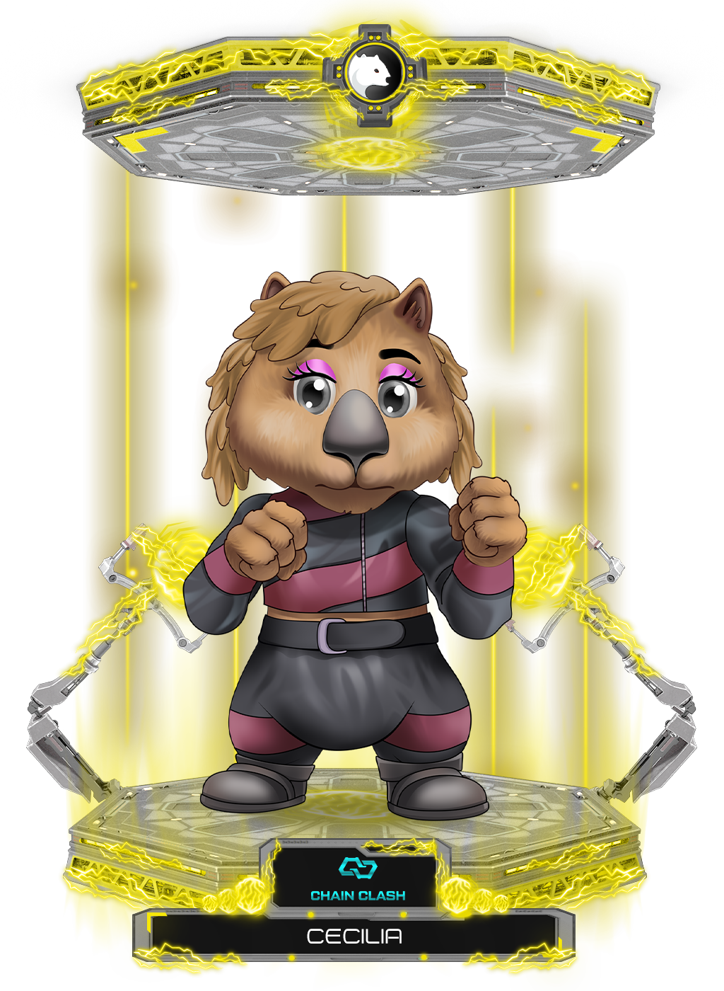 Wombat – Meet the Team behind Wombat