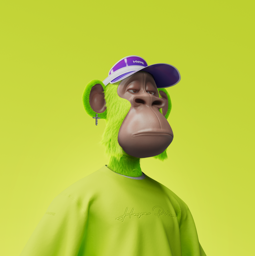 Wombat – Meet the Team behind Wombat