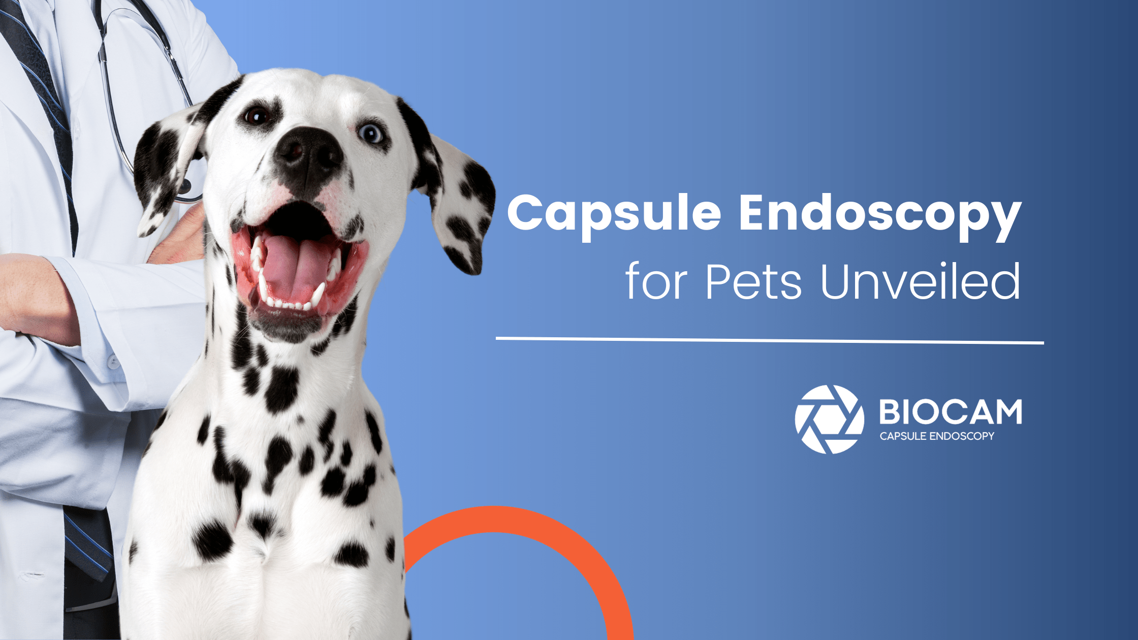 Beyond Anesthesia: Capsule Endoscopy for Pets Unveiled | BioCam