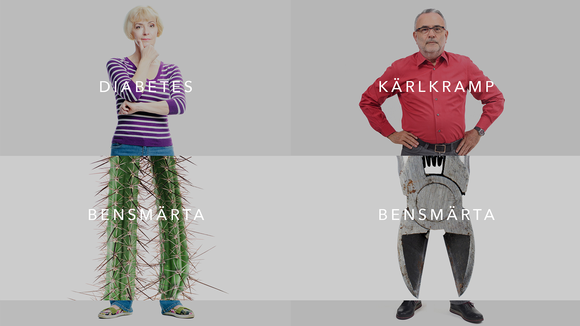 Bayer – Case – Narva Communication