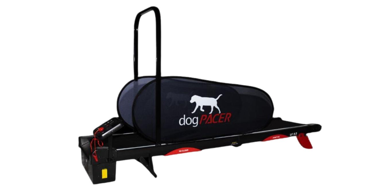 Dogpacer Treadmill Review | Everything Labradors