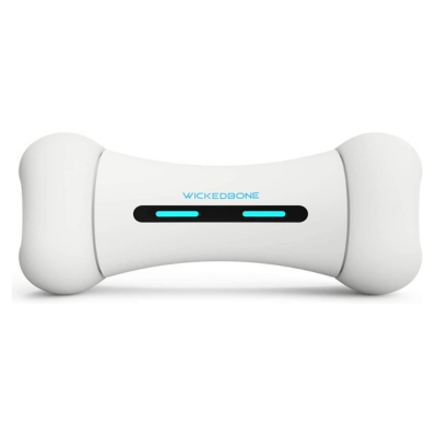 Best Smart Bones For Dogs | Everything Labradors