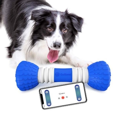 Best Smart Bones For Dogs | Everything Labradors