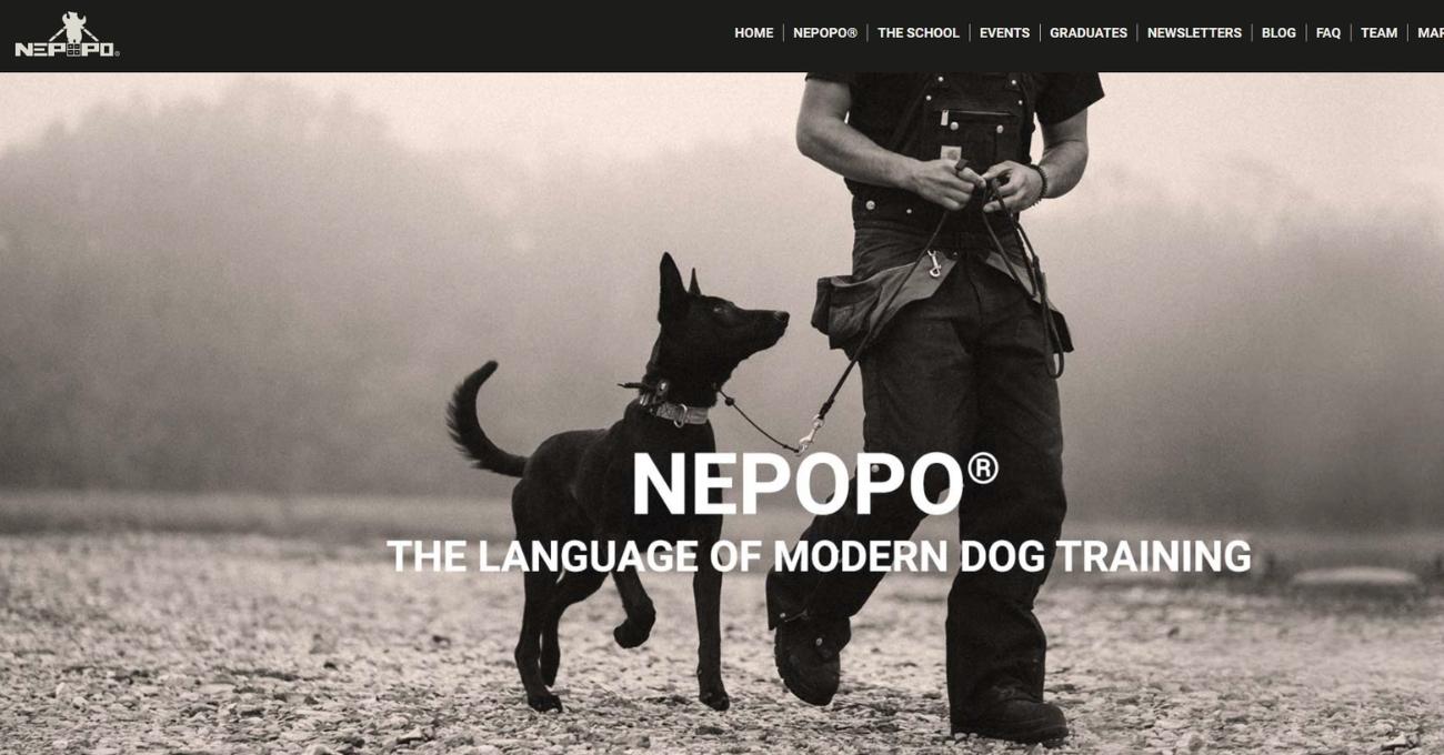 Nepopo Dog Training (My Honest Review) | Everything Labradors