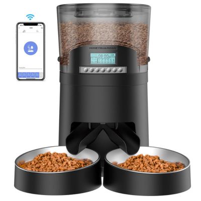 11 Best Smart Dog Feeders | Everything Labradors