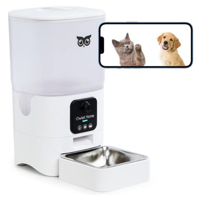 11 Best Smart Dog Feeders | Everything Labradors