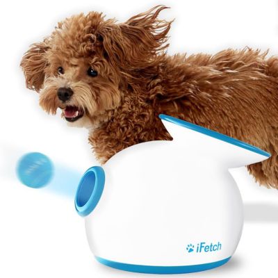 Best Automatic Ball Launchers For Dogs | Everything Labradors