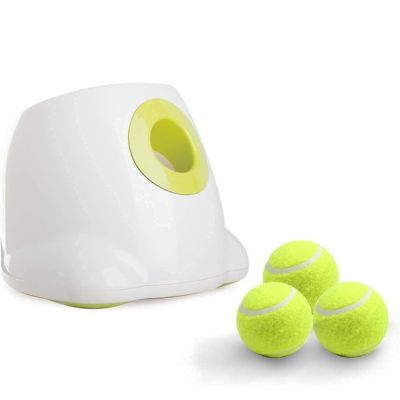 Best Automatic Ball Launchers For Dogs | Everything Labradors