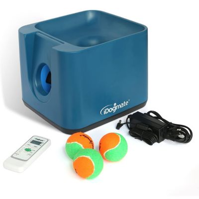 Best Automatic Ball Launchers For Dogs | Everything Labradors