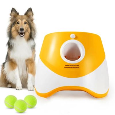 Best Automatic Ball Launchers For Dogs | Everything Labradors