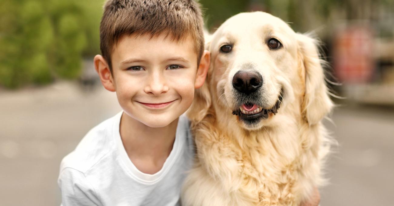 Best Dogs For Boys
