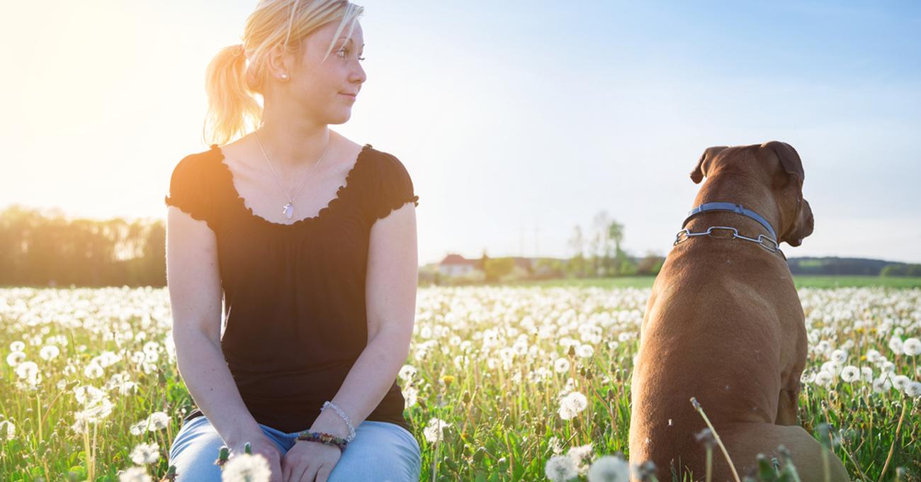 Train & Teach Dog To Ignore Other Dogs
