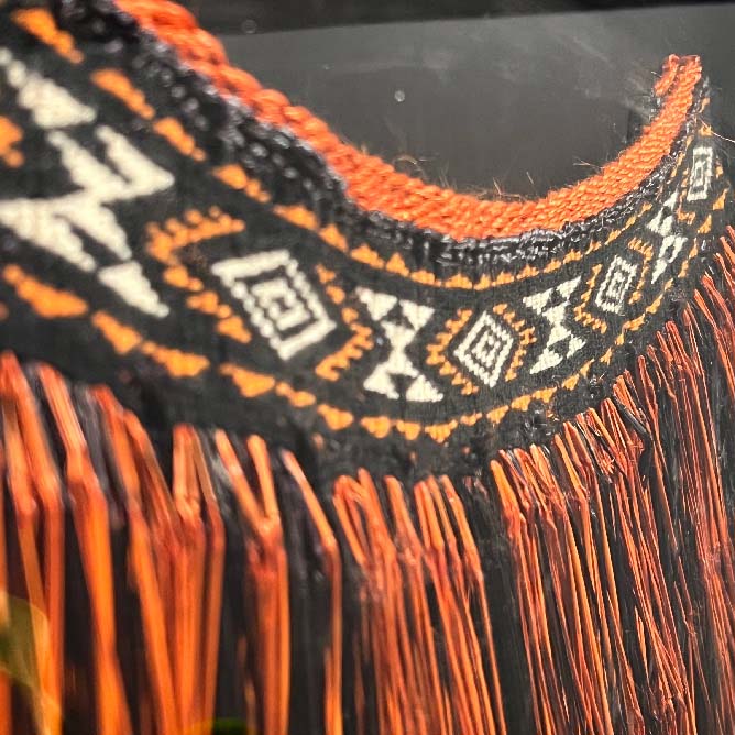 Welcome to Hawaikirangi