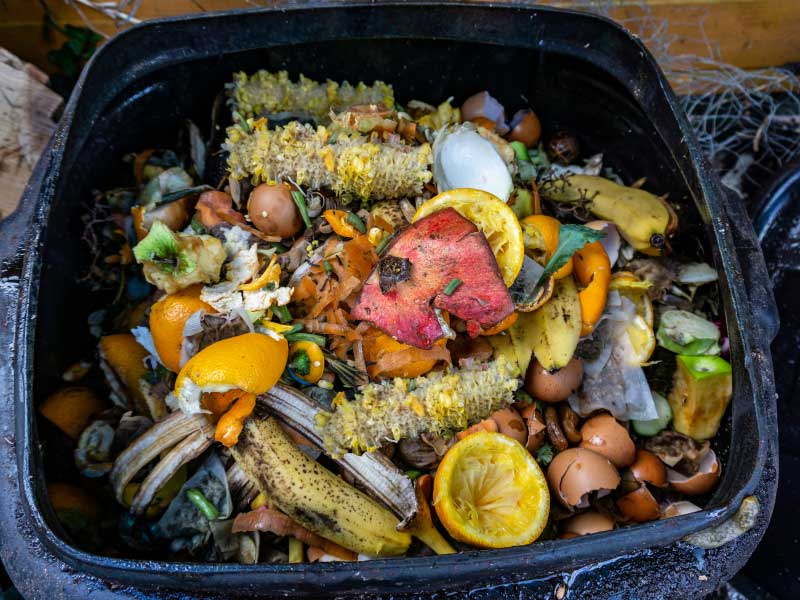 A beginner’s guide to keeping your food waste out of landfill