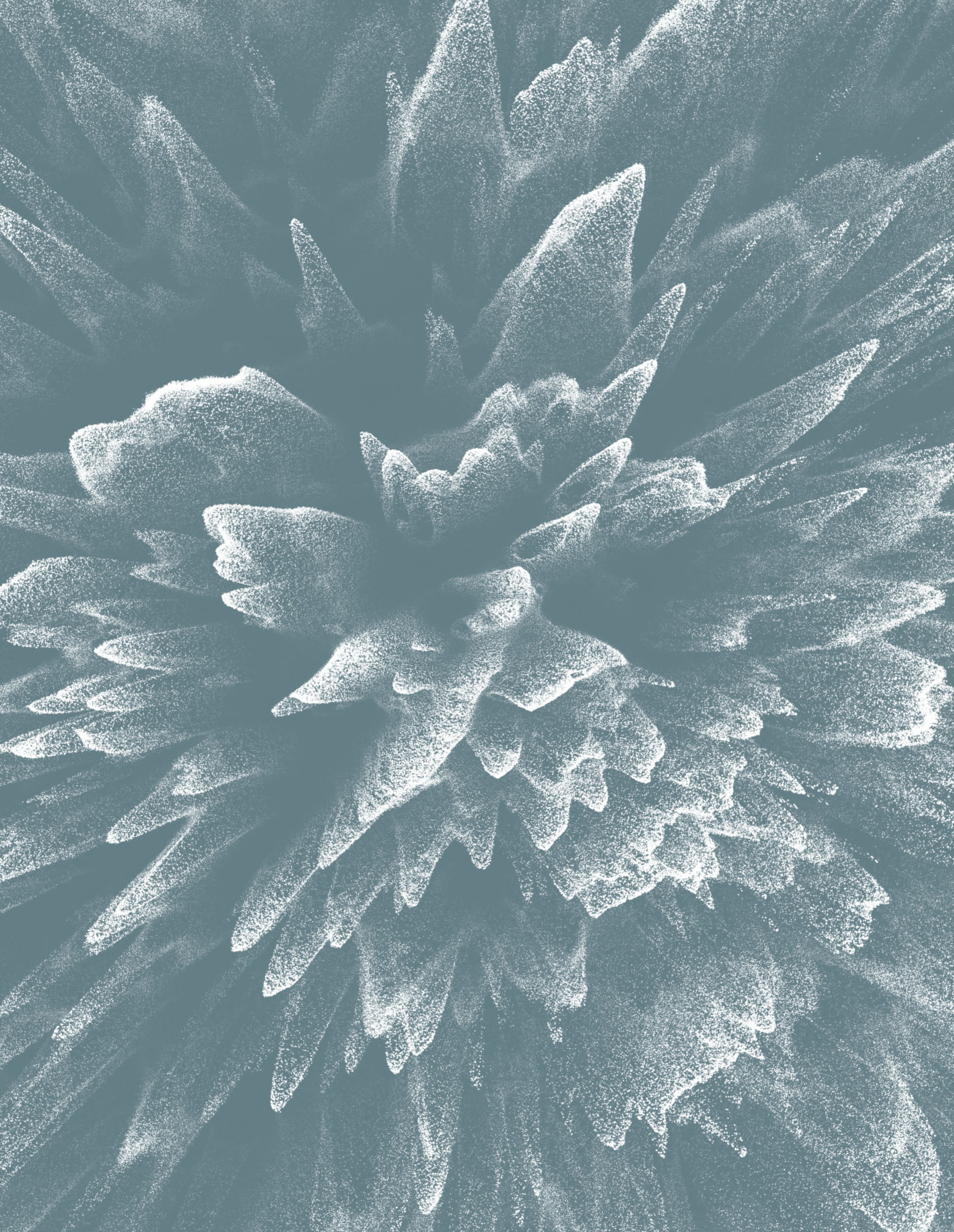 Environmental Data as a Public Good | Open Environmental Data Project