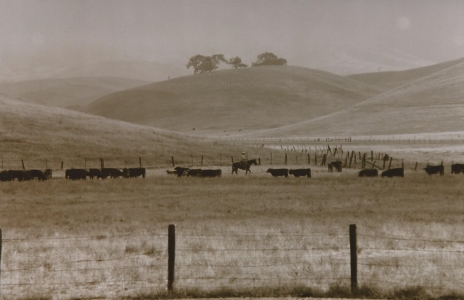 James Witt Dougherty and the Dougherty Valley | Contra Costa County ...