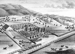 Gold and the Harlans of San Ramon Valley, California | Contra Costa ...