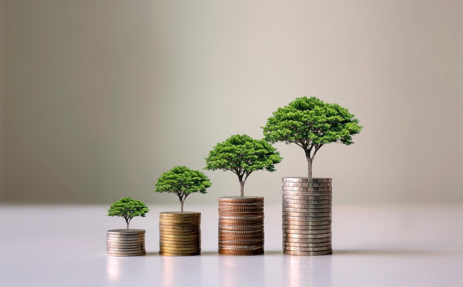 How to Calculate Business Growth Rate | Peel Insights