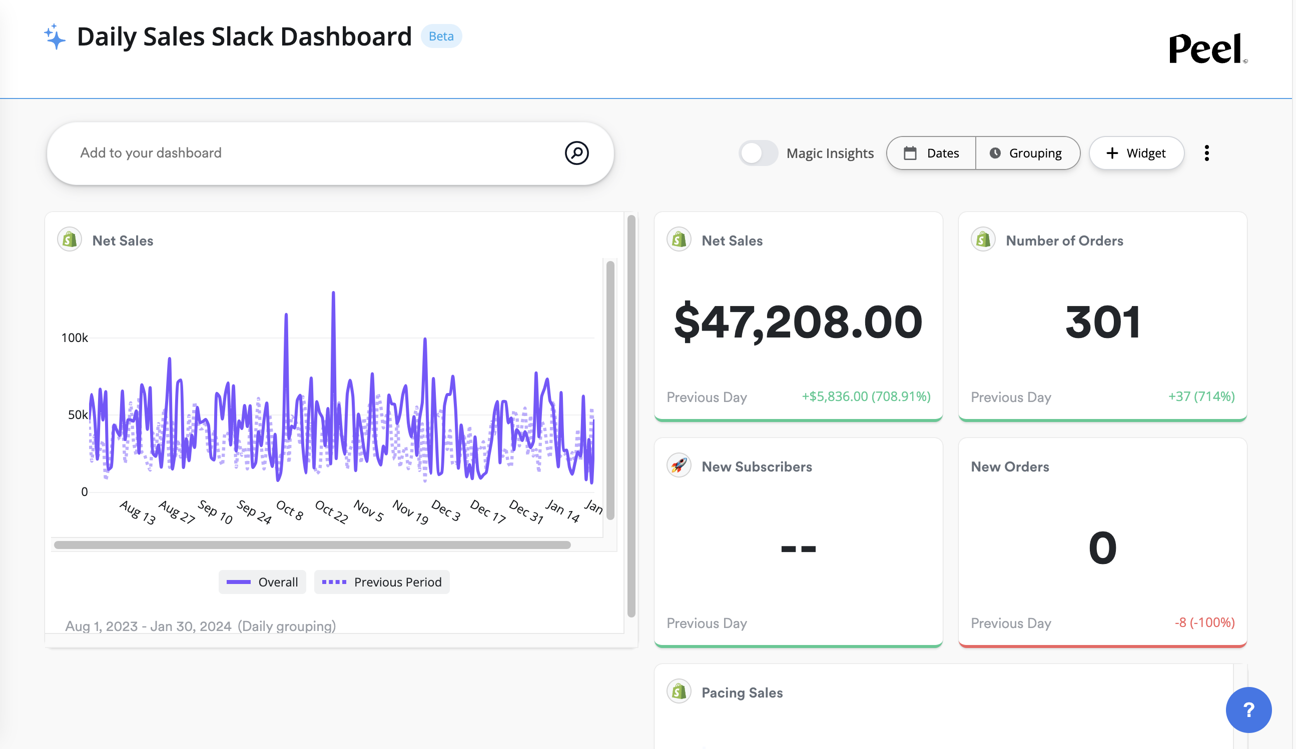 Daily Dashboard Template for Go-To DTC Metrics | Peel Insights