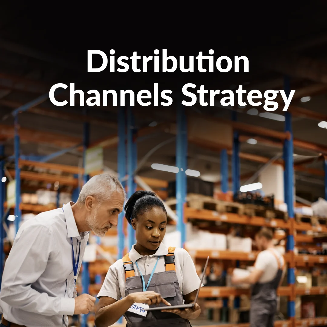 Distribution Channels Strategy Presentation Template
