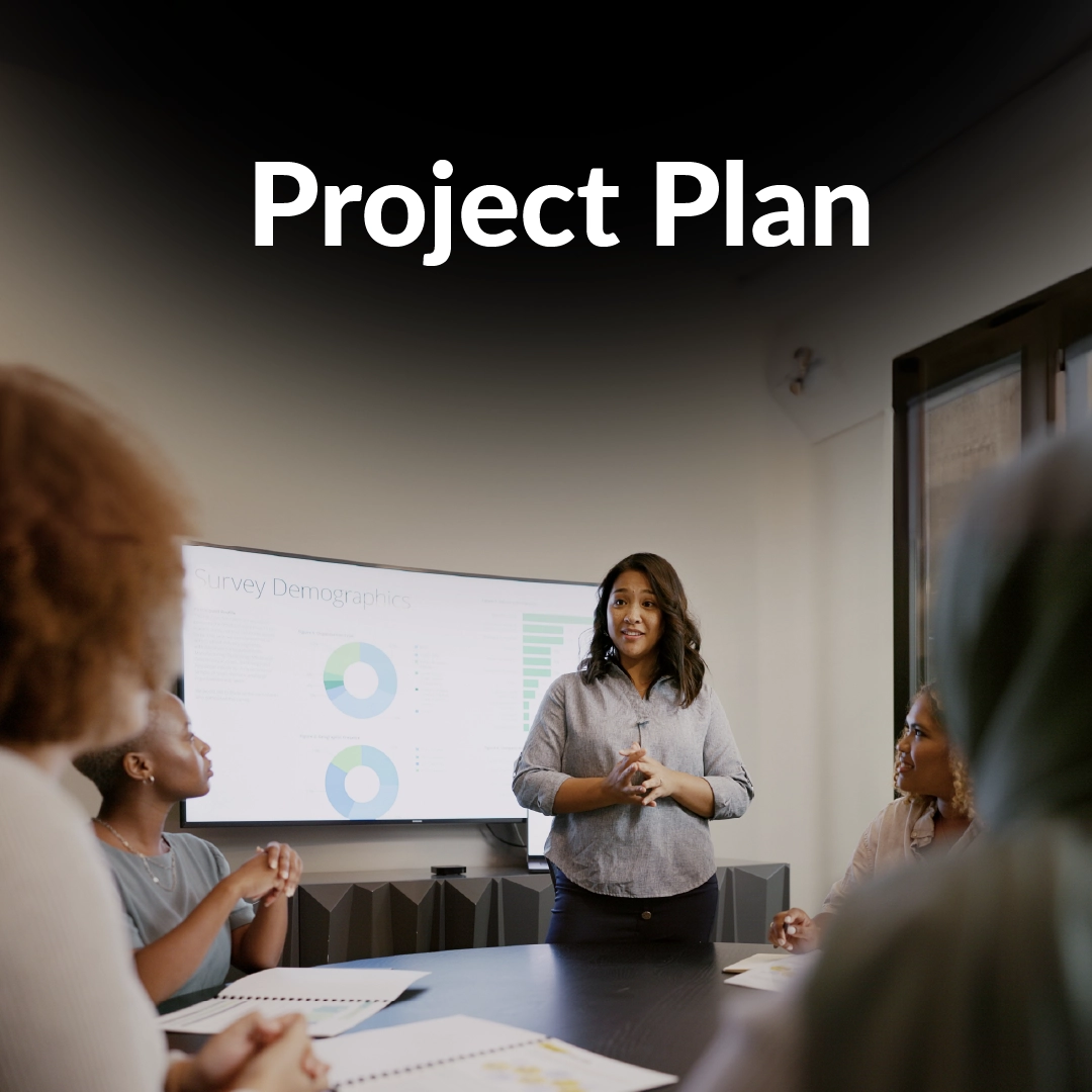 Project Plan Presentation Template