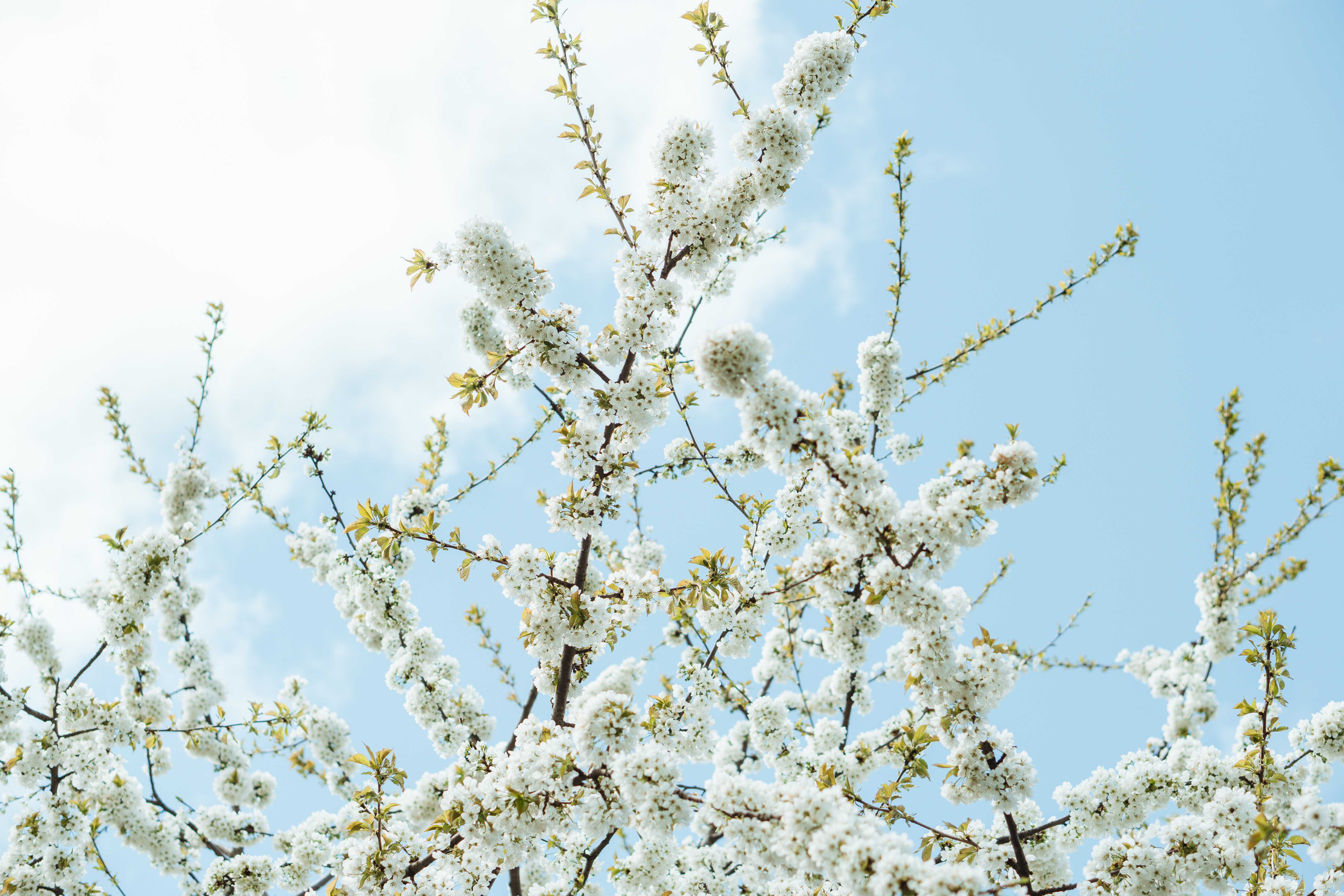 Blog | First Steps Pregnancy Support