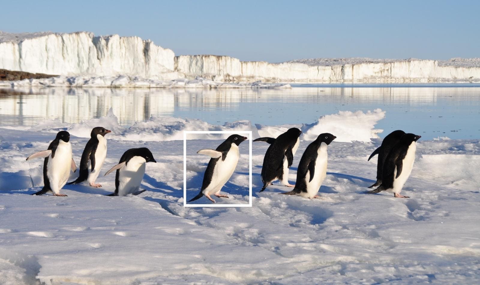 A guide of the most promising XAI libraries | Craft AI