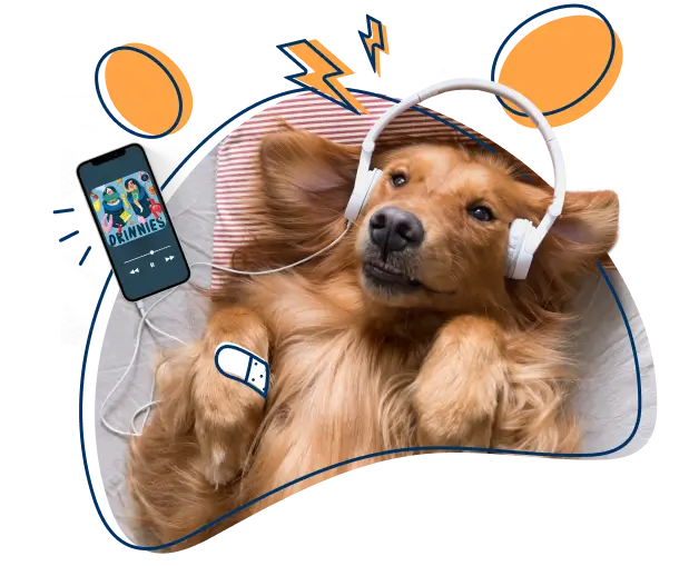 Die Tierkrankenversicherung für starke Vierbeiner | petolo