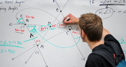 Articles & Resources | Elephant Learning