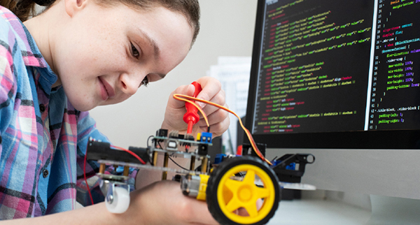 Ada Lovelace: The First Computer Programmer | Elephant Learning