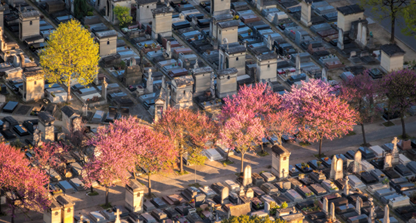 Évariste Galois, The Rebel Rousing Mathematician | Elephant Learning