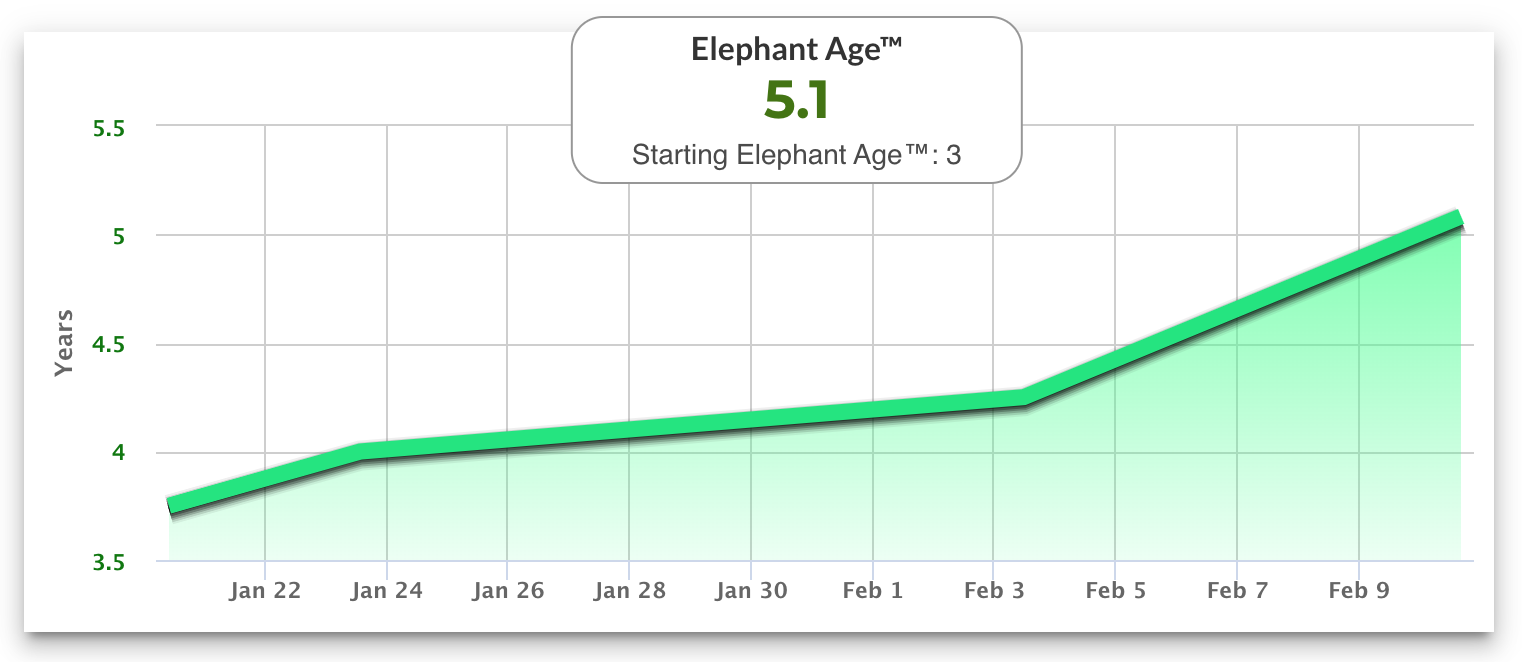 Tortoise and Hare: Elephant Learning for Homeschooling at all Paces ...