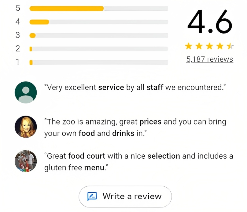 What is Google Review? A Freshreview Guide