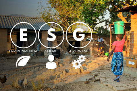 International Health Partners