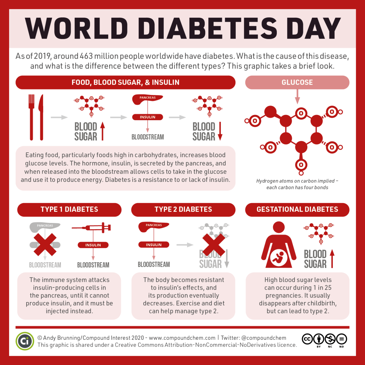 International Health Partners