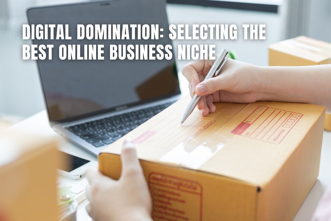 Digital Domination: Selecting the Best Online Business Niche