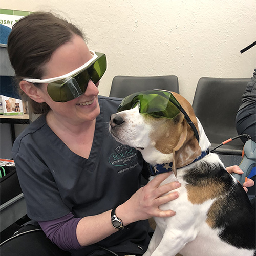 For Pet Owners | SOUND Veterinary Rehabilitation Center