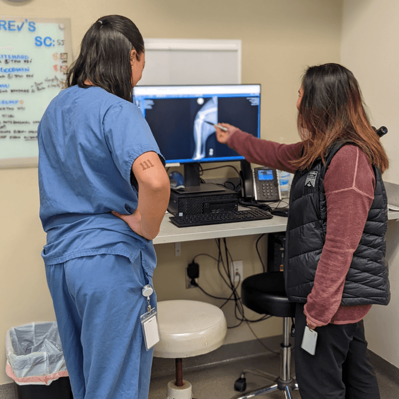 SOUND Veterinary Rehabilitation Center | Seattle Pet Rehab