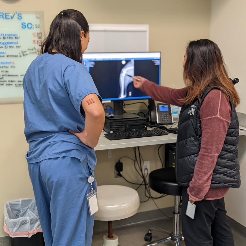 SOUND Veterinary Rehabilitation Center | Seattle Pet Rehab