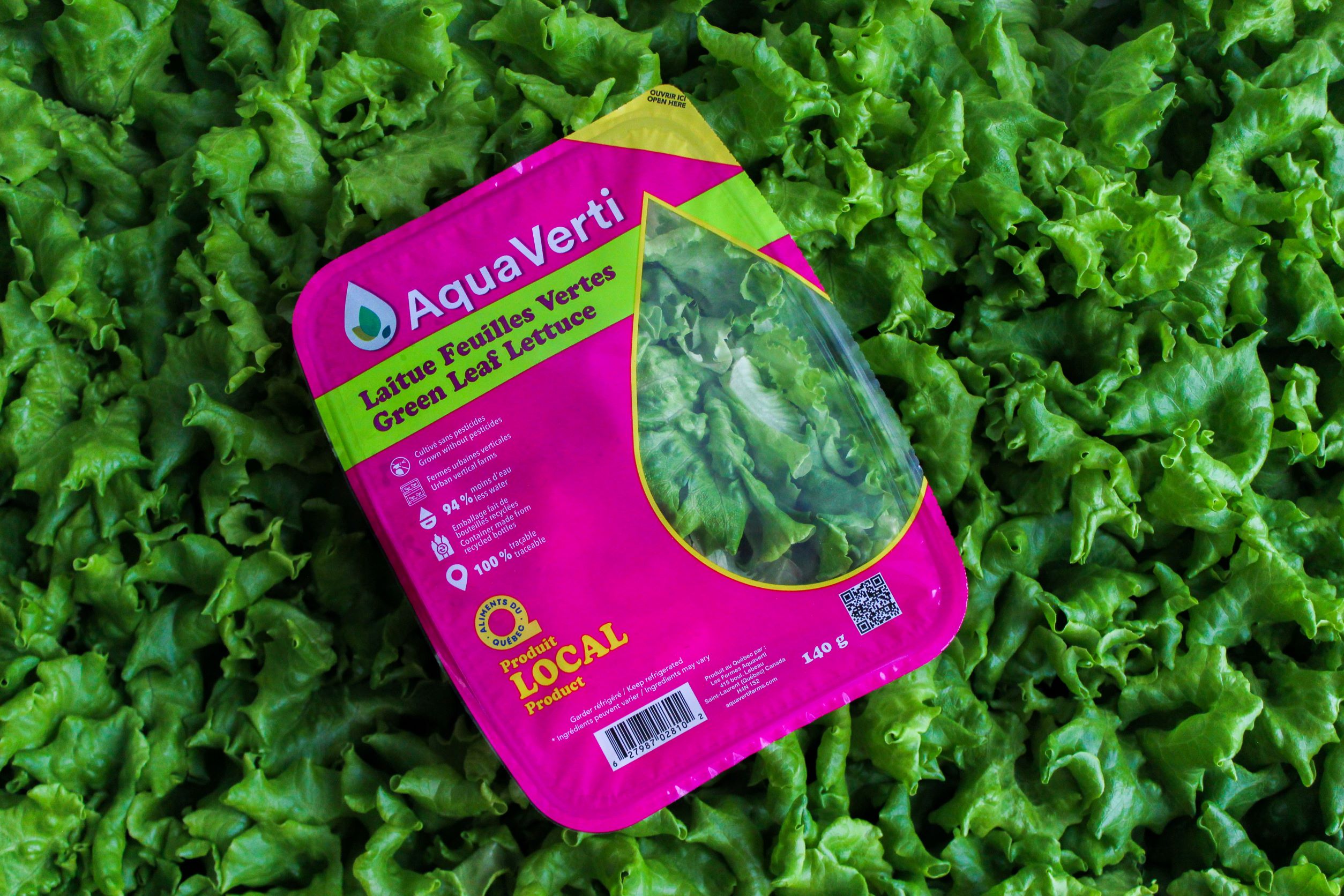 AquaVerti Farms | Green Leaf Lettuce | Our Freshly Grown Products ...