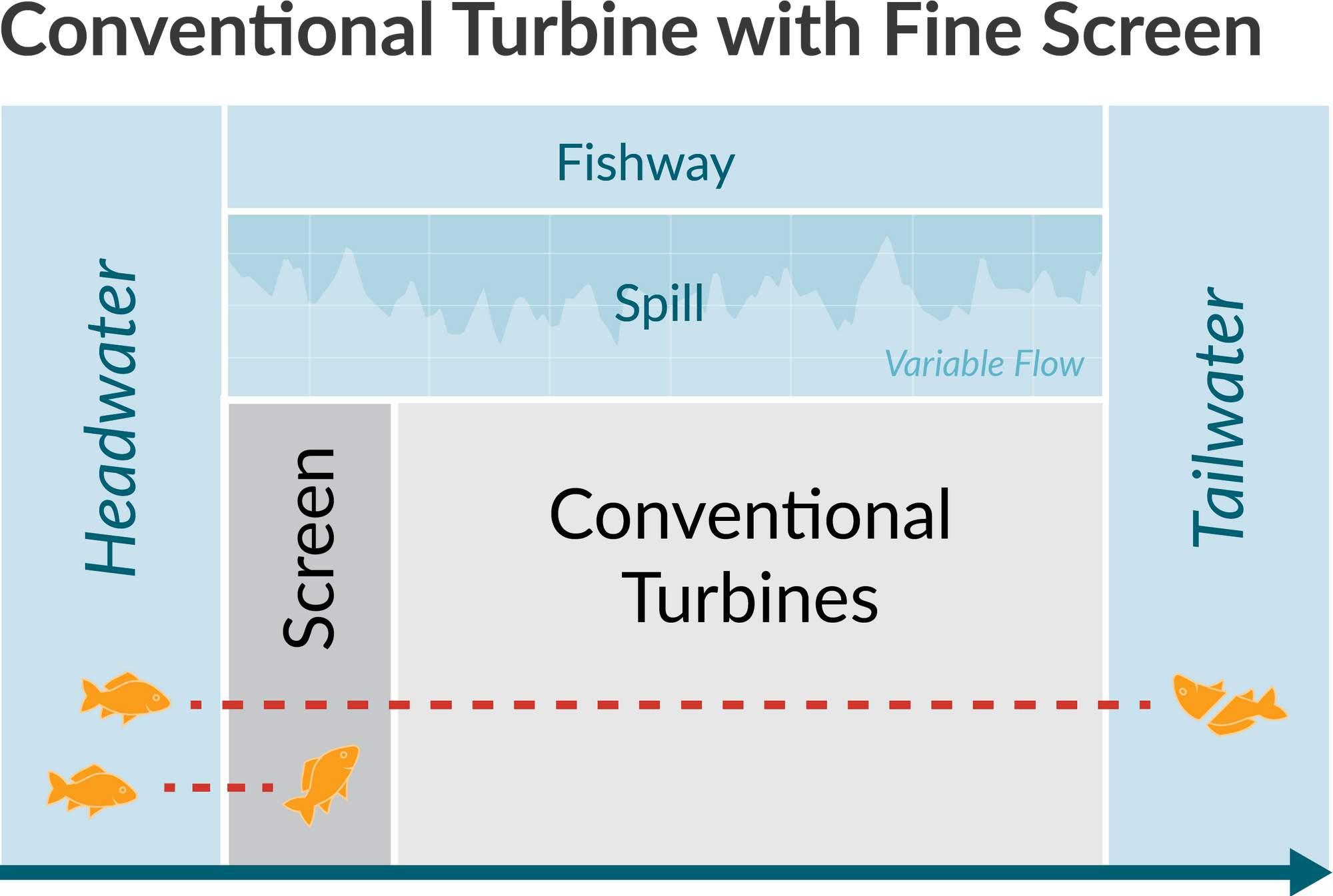 Natel Energy | Why Fish Passage Matters