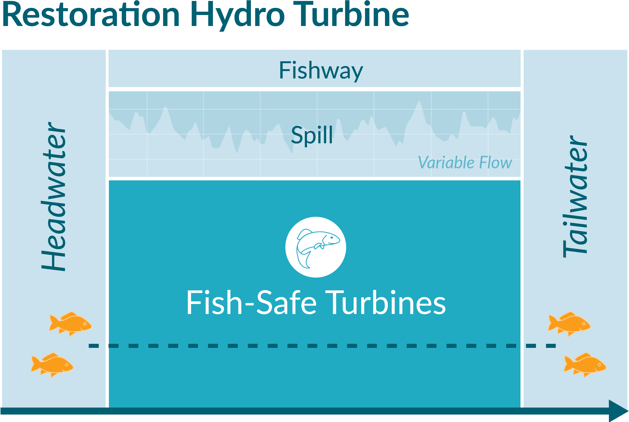 Natel Energy | Why Fish Passage Matters