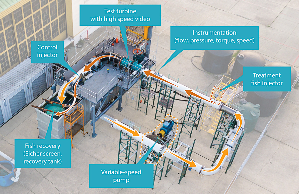 Engineering Services | Fish Passage Testing & Analysis